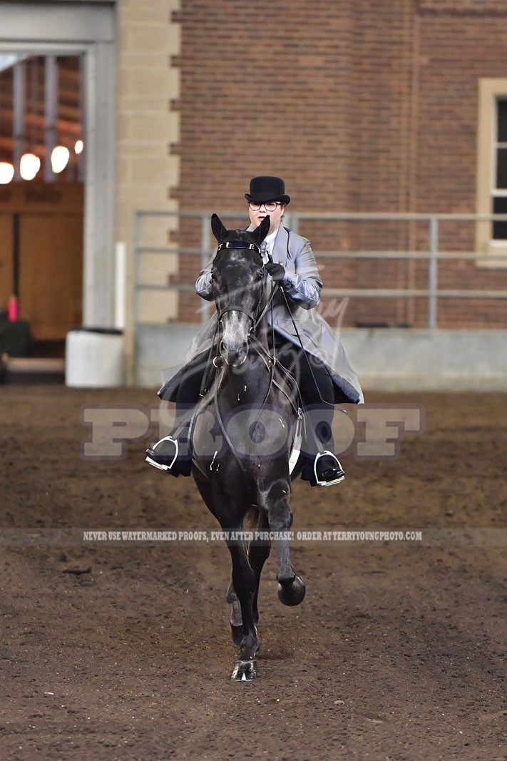 Fri. Morn 10:00am - Classes #43-61 - Horse Show Proofs - 2025 - D ...
