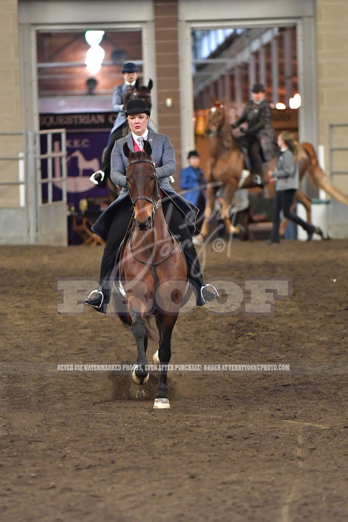 Fri. Evening - 6:00pm- Classes #62-81 - Horse Show Proofs - 2025 - D ...
