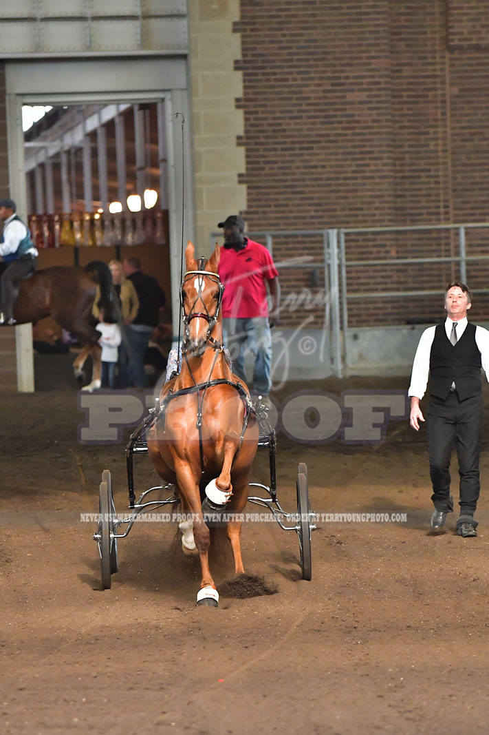 Sat. Evening 6:00pm - Classes #101-125 - Horse Show Proofs - 2025 - D ...