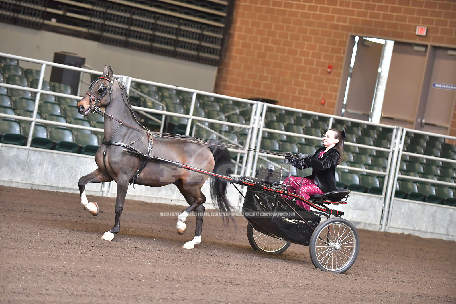 Sun. Morning 10:00am - #126-146 - Horse Show Proofs - 2025 - D ...