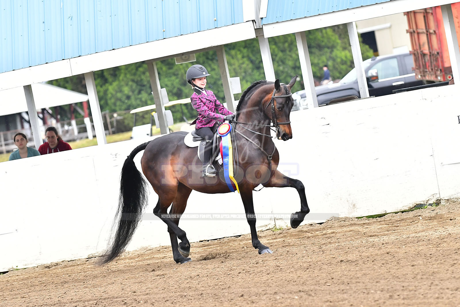 Sat. Noon - TBA - Classes #146-168 - Horse Show Proofs - 2025 - F ...