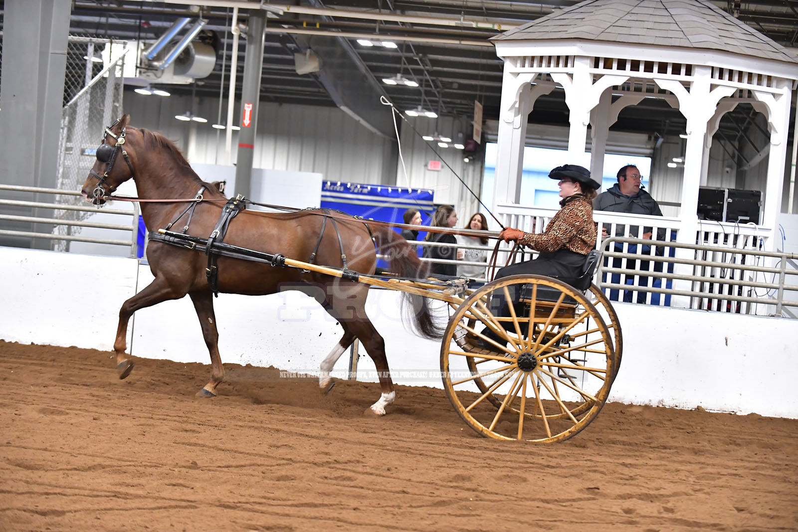 Sat. Evening 7:00pm - Classes #088-102 - Horse Show Proofs - 2025 - G ...