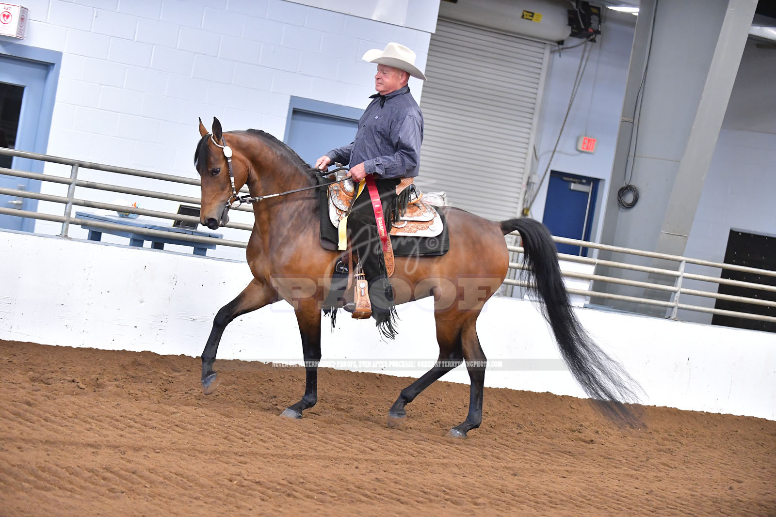 Sun. Morning - 9:00am - Classes #103-121 - Horse Show Proofs - 2025 - G ...
