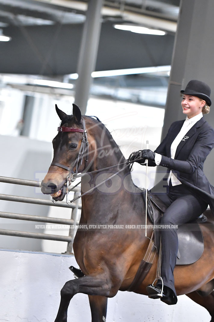 Sun. Noon TBA Classes - #122-136 - Horse Show Proofs - 2025 - G ...