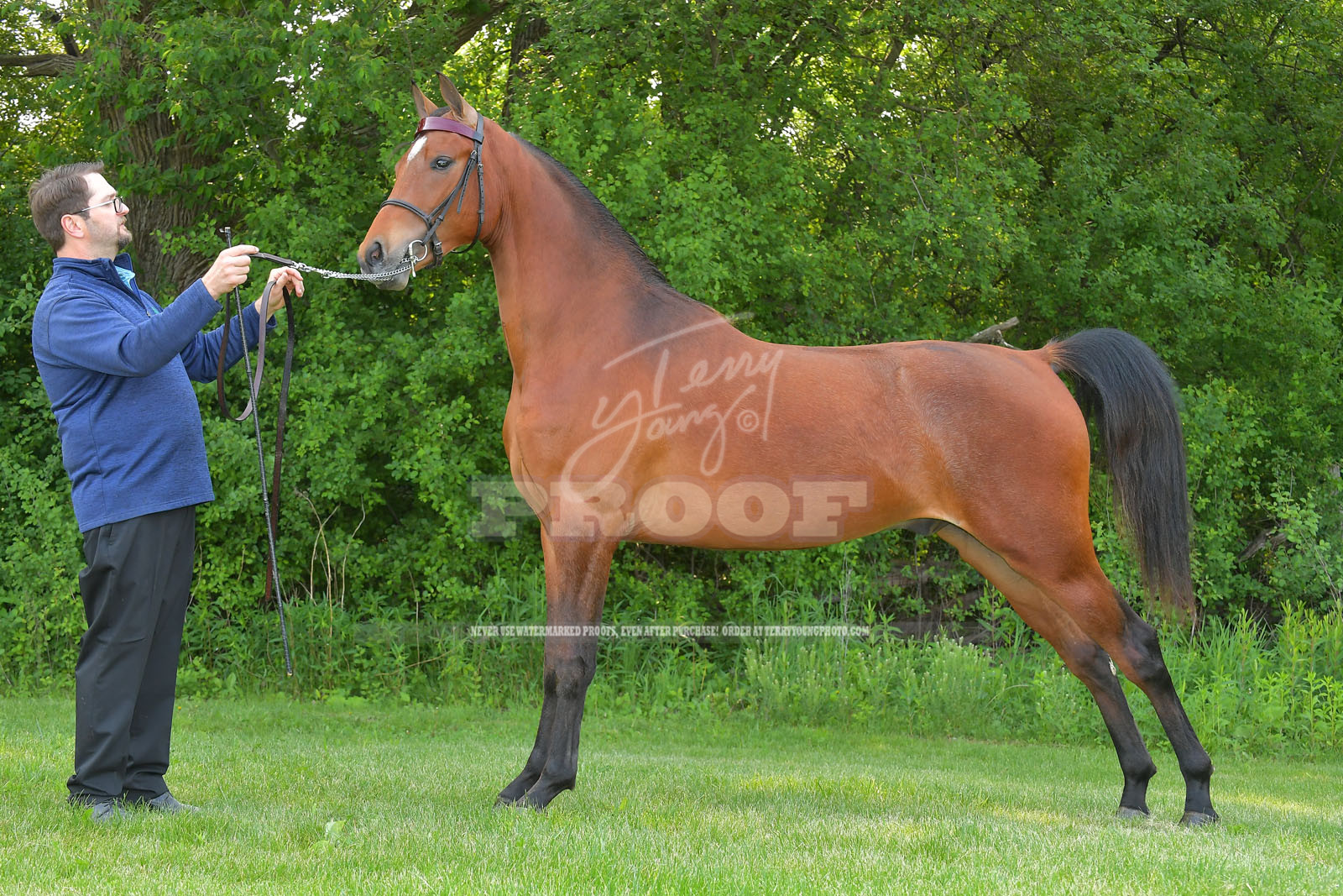 Bodnar Shoot - Bodnar Shoot - Horse Show Proofs - 2025 - H.) Prairie ...