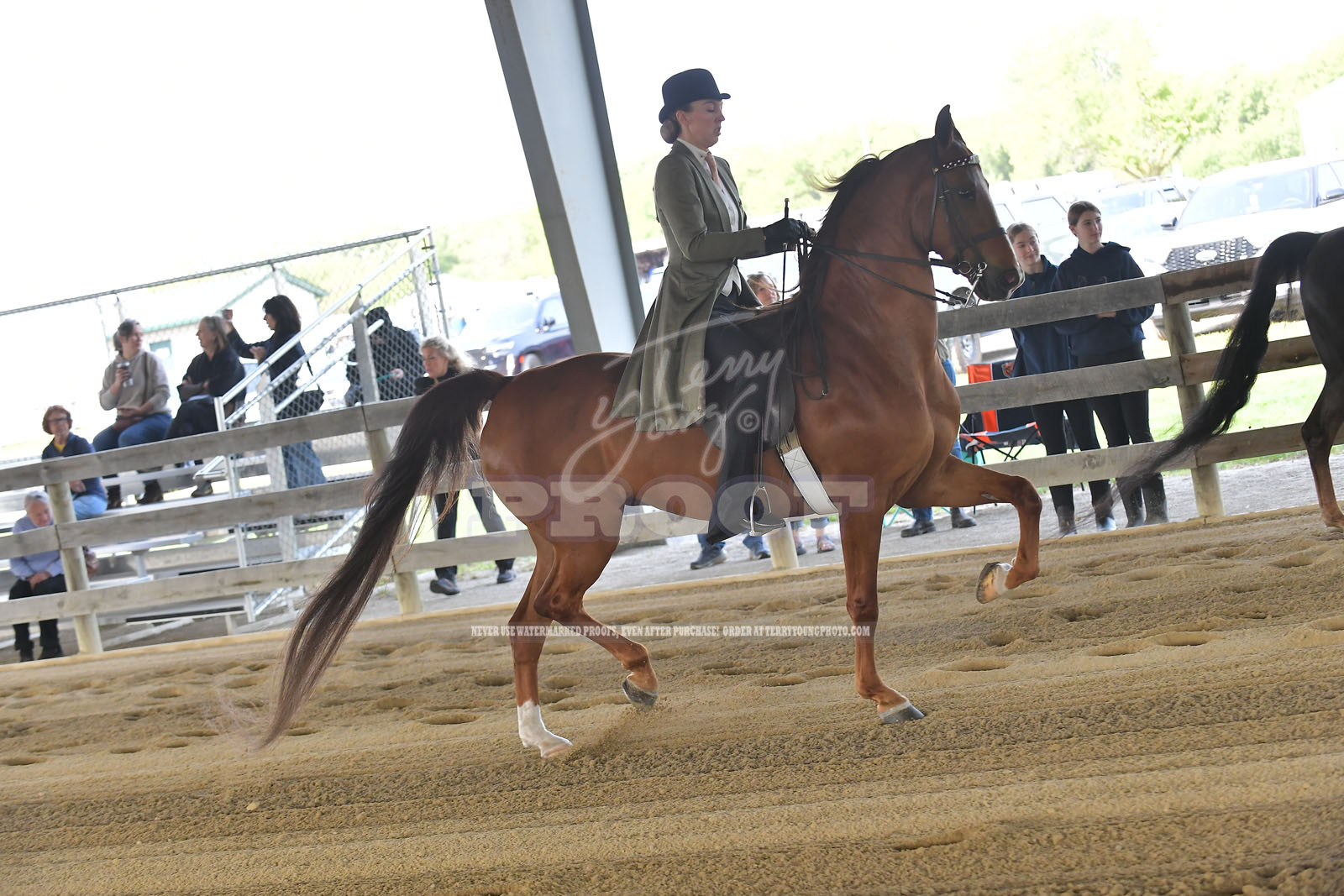 Sat. Morn 9:00am - Classes #41-57A - Horse Show Proofs - 2025 - H ...