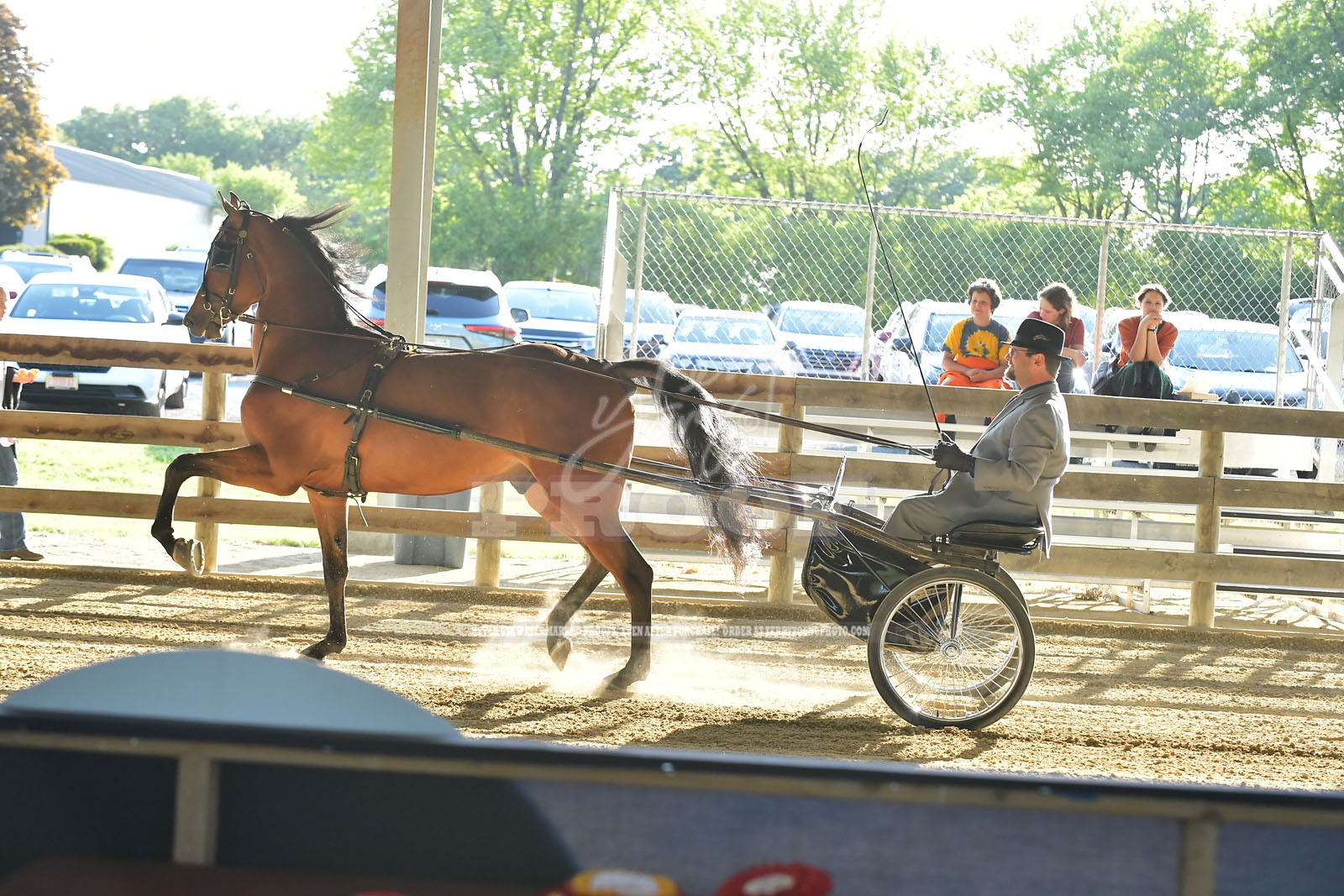 Sat. Evening 6:30pm - Classes #76-90 - Horse Show Proofs - 2025 - H ...