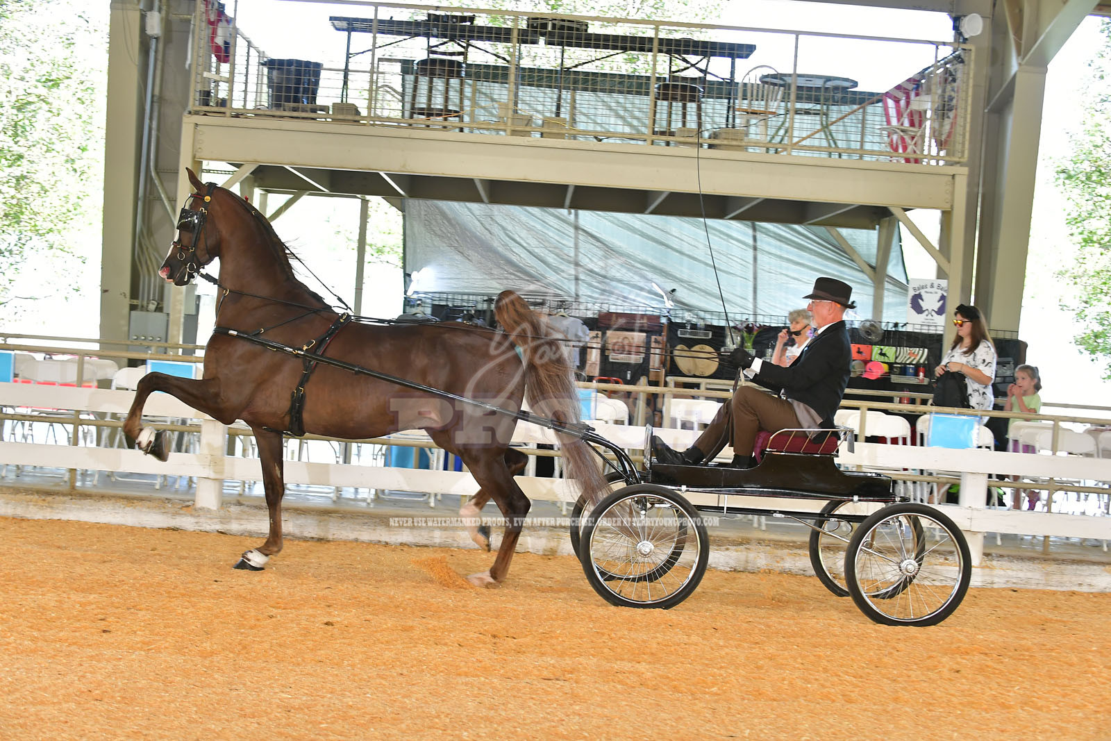 Thur. Evening 6:00pm - Classes #01-19 - Horse Show Proofs - 2025 - J ...
