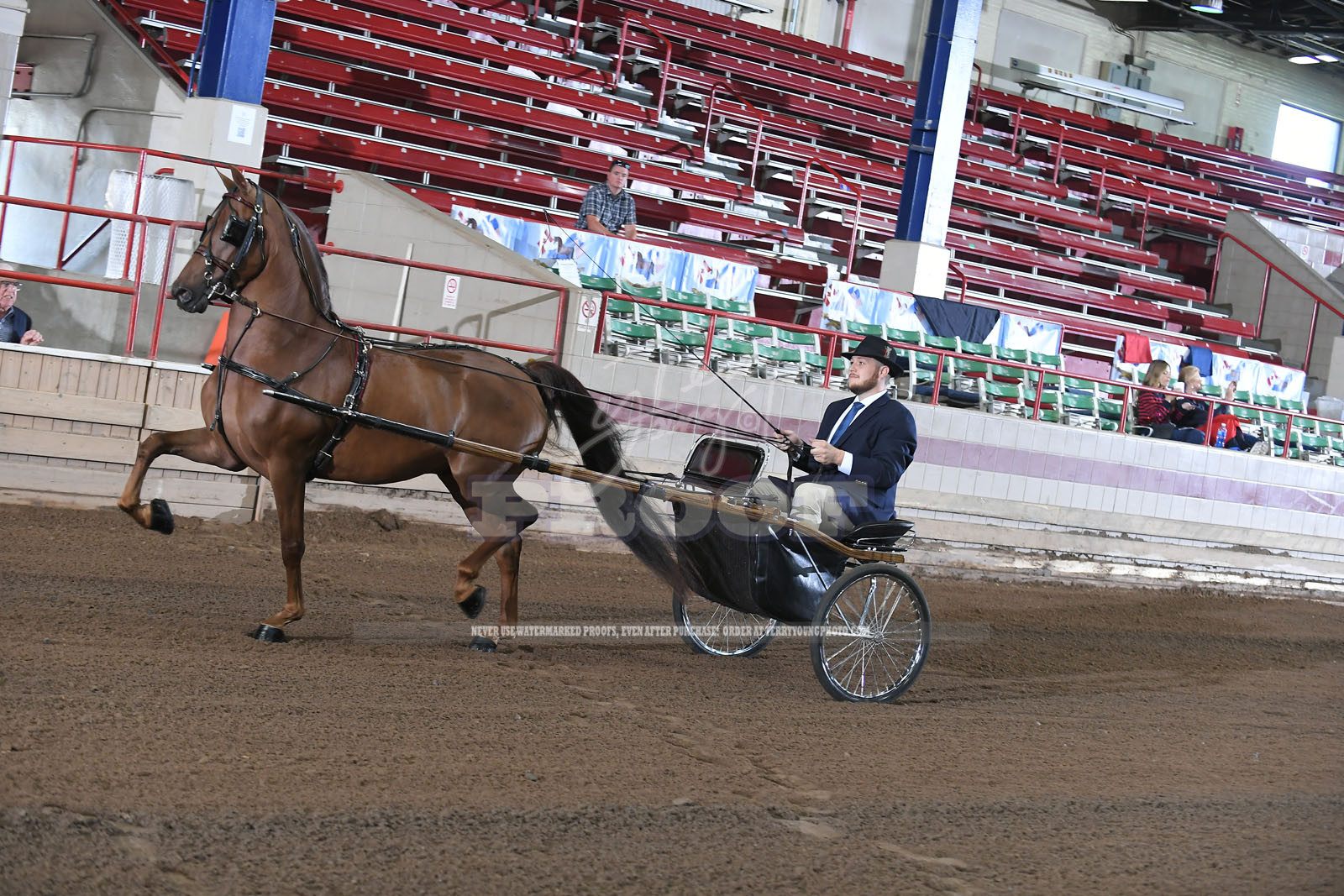 Wed. Noon TBA Classes #27-42 - Horse Show Proofs - 2025 - S.) NY ...