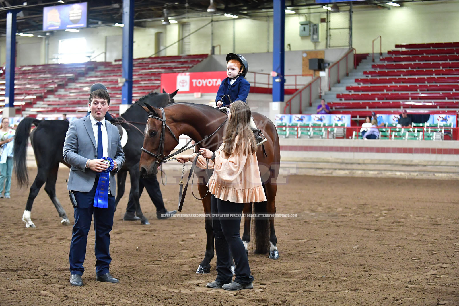 Sat. Noon - TBA - Classes #156-175 - Horse Show Proofs - 2025 - S.) NY ...