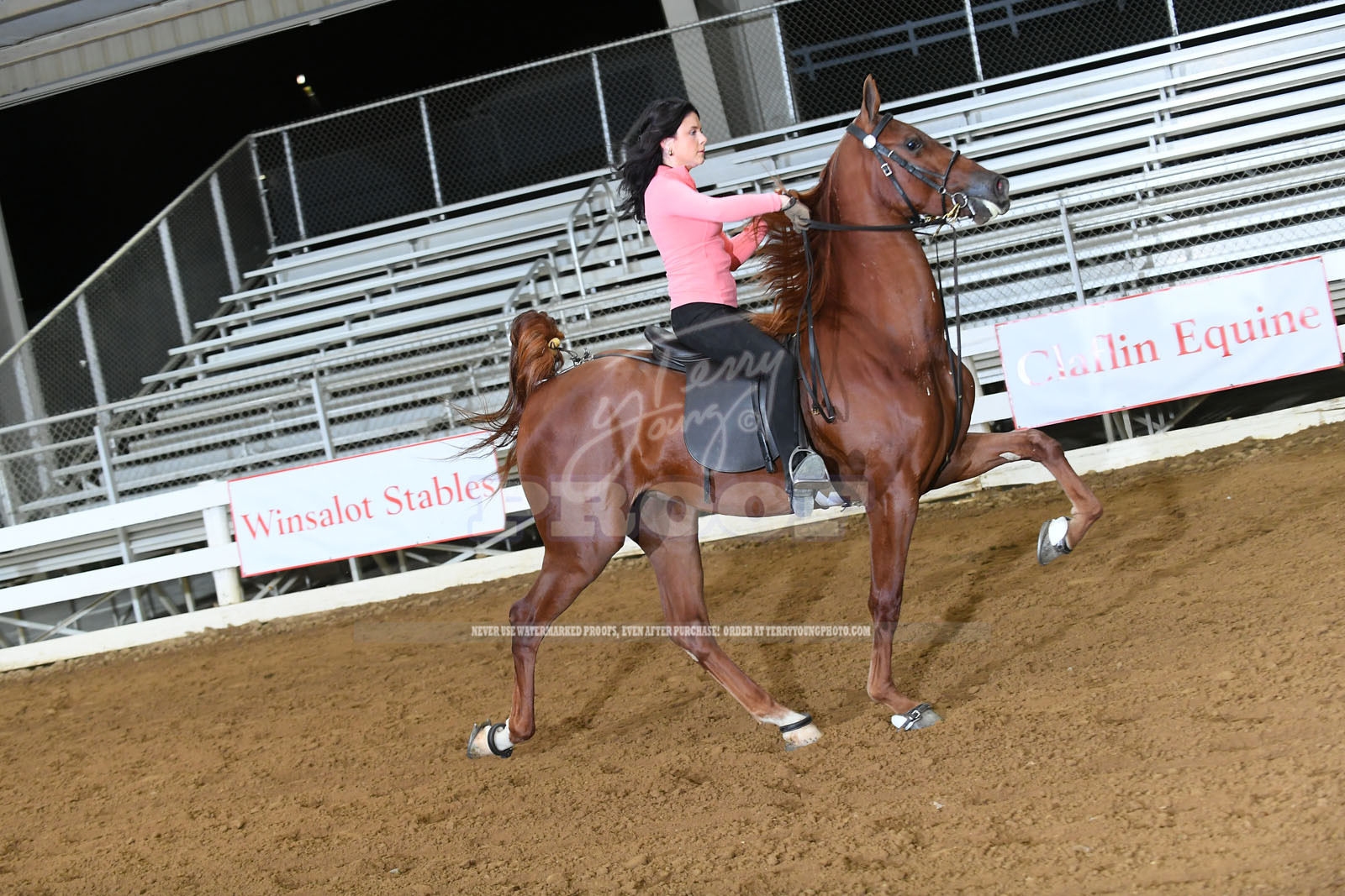 DC Stables Shoots - Horse Show Proofs - 2025 - V.) Tri-State Fall ...