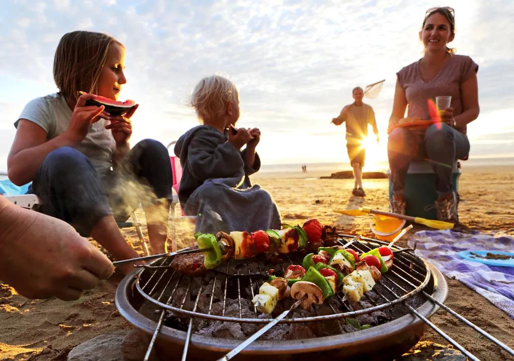 The Ultimate Guide to Green Egg Barbecue – BBQ Grills, Smokers, Outdoor ...