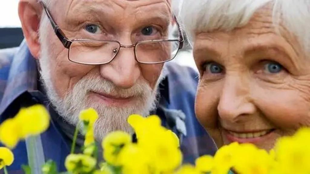 Effortless Access: The Benefits of the Ez Access Ft Suitcase Ramp ...