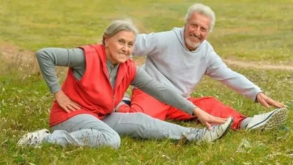 Exploring the Ez Access Ft Suitcase Ramp: Signature Ss – Mobility Aids ...