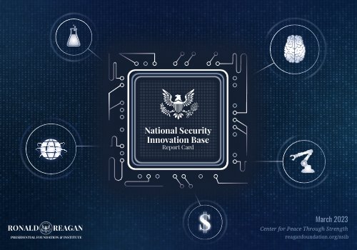 NSIB 2023 Report Card