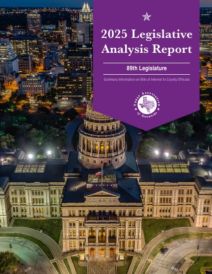 2025 Legislative Analysis Report