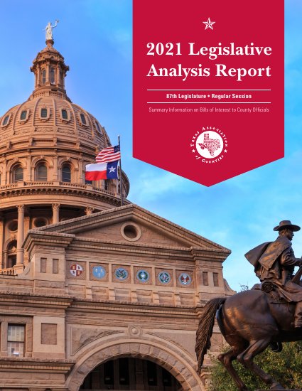 2021 Legislative Analysis Report