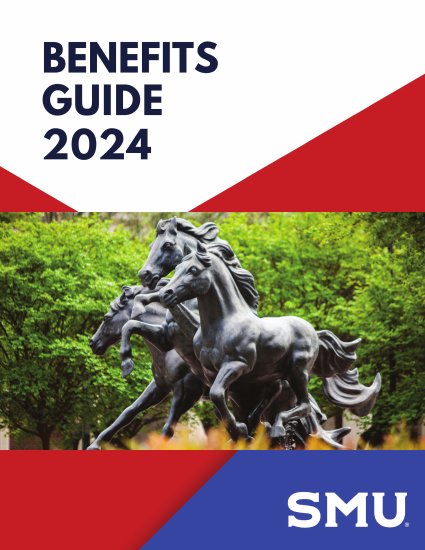 SMU 2024 Guide