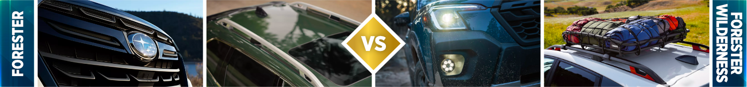 Compare the 2024 Subaru Forester & 2024 Subaru Forester Wilderness