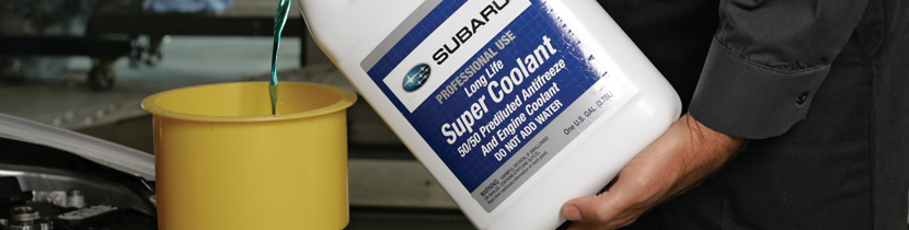Subaru long life coolant | Avtomaslopro.com