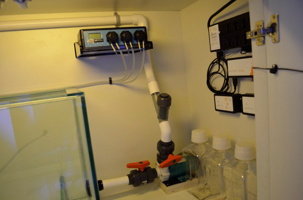 A Look at the RAD Custom 140 Aquarium | 3reef Aquarium Forums