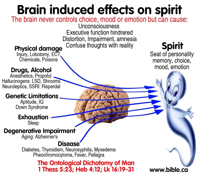 Can Man Override God? – Site Title