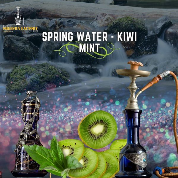 Spring Water - Kiwi Mint - THE SHEESHA FACTORY CAFE | TSF