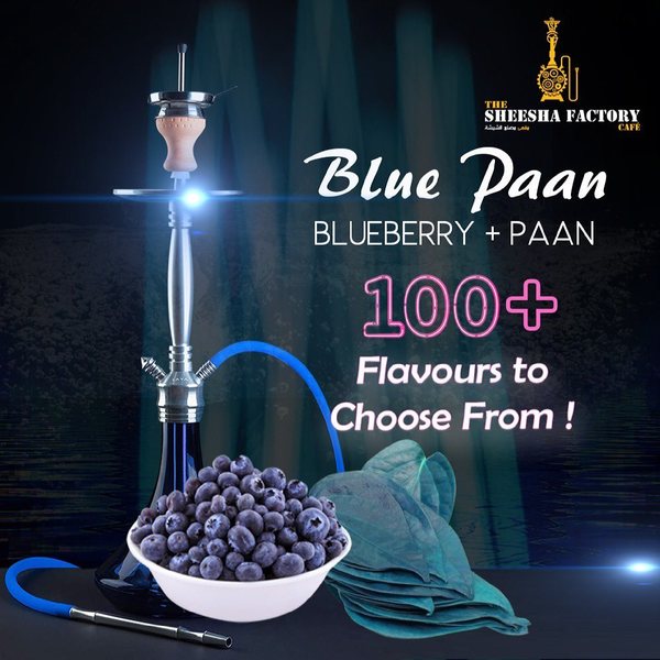Exotic flavor Blue Paan | The Sheesha Factory Cafe | Sheesha In Dubai