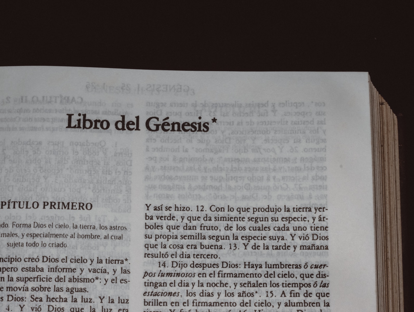 Genesis 10:1-32 "The Table of Nations" - Calvary OPC