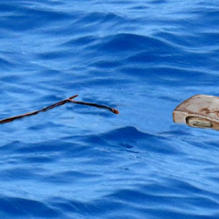 A Prophet Who Lost His Head - Eastern Gate Baptist Church