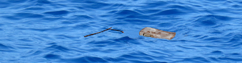 A Prophet Who Lost His Head - Eastern Gate Baptist Church