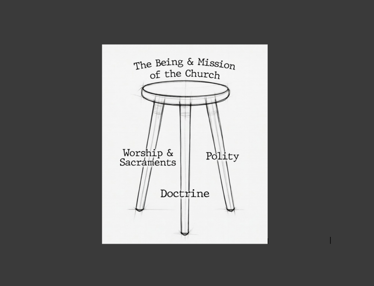 Can Fudging & Provoking Produce Unity? - Jude 3 & PCA