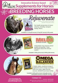 Horse protein supplements – farmalogic