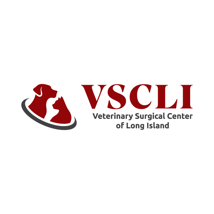 Instinct Shareville | Veterinary Surgical Center of Long Island (VSCLI)
