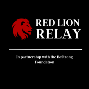 Red Lion Relay SP23