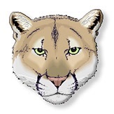 College Gate Jog-a-thon!