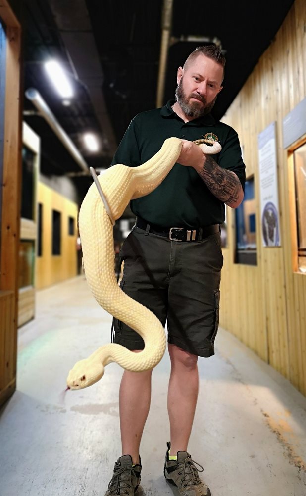 See a sloth at the Auburn-Opelika Wildlife Festiva