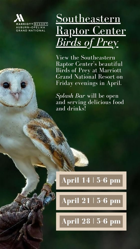 Southeastern Raptor Center at the Marriott