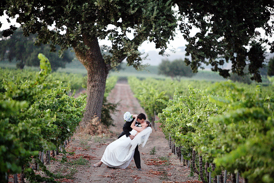 Wedding photography | Wedding photographers | Bella Pictures