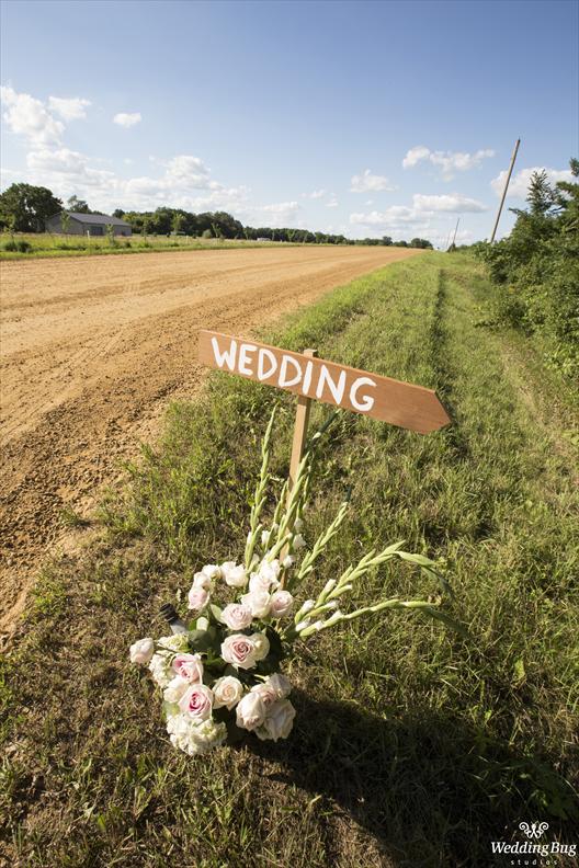 Gallery | Wedding Bug