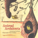 Animal Architects: Amazing Animals Who Build Their Homes | School ...