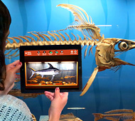 Smithsonian Brings Historic Specimens to Life in Free “Skin and Bones ...