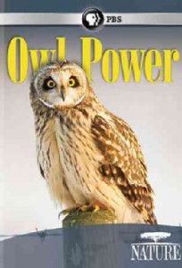 Incredible abilities are showcased in "Owl Power"|DVD Pick | School ...