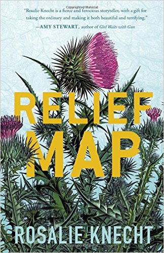 "Gone Girl" Read-Alikes | Adult Books 4 Teens | School Library Journal