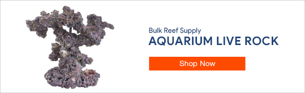 The Ultimate Buyers Guide to Dry Live Rock - Bulk Reef Supply