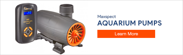 BRStv Product Spotlight Maxspect Jump DC Return Pump - Bulk Reef Supply