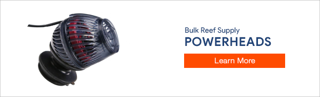 BRStv Buyers Guide To Powerheads - Bulk Reef Supply