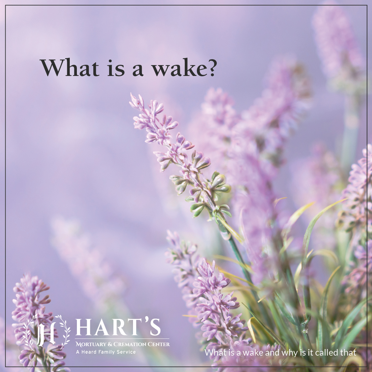 What’s a Wake and Why Is It Called That?