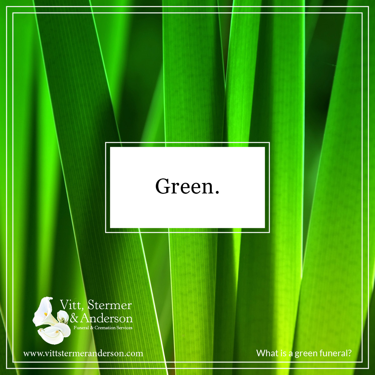 What is a Green Funeral?