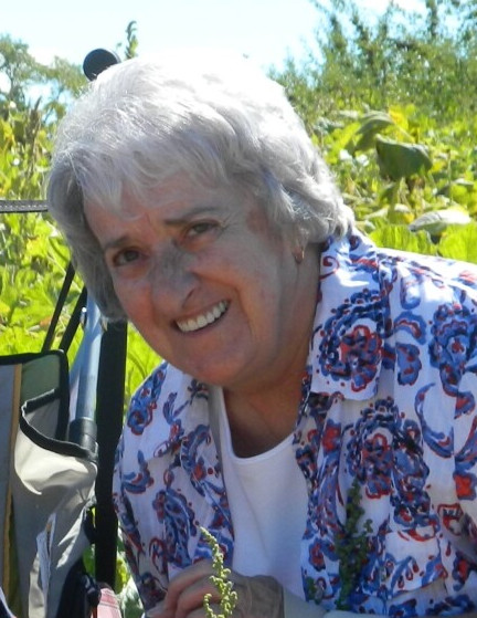 Mark Hallenbeck's Instagram, Twitter & Facebook on IDCrawl